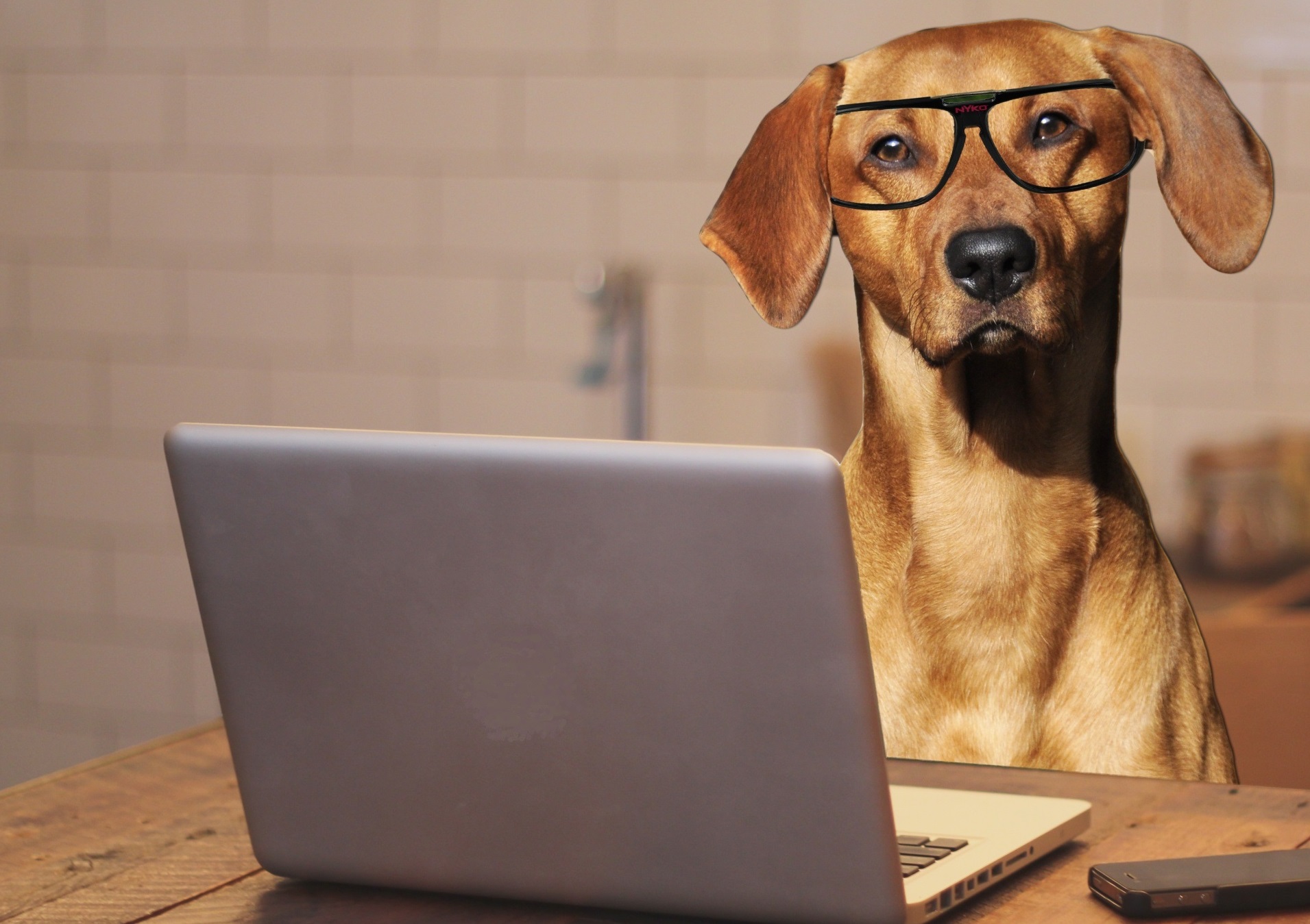 10 New Favorite MS Word Tricks for Editors - CMOS Shop Talk